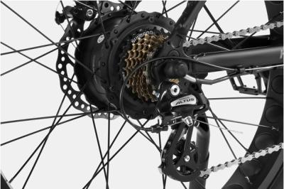 Cina 7 lega di alluminio elettrica adulta del mountain bike 6061 di velocità 700W 40-50km in vendita