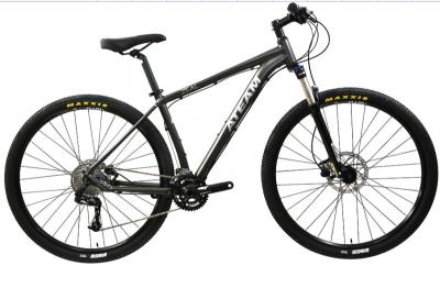 Cina Mountain bike a 26 pollici di MTB in vendita