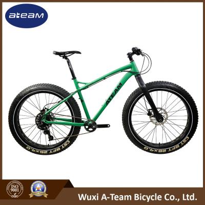 Cina Gomme grasse del mountain bike a 26 pollici di Chromoly in vendita