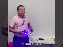 Het mini Longwave UVflitslicht van 365nm, Draagbare UVtoortsoem ODM