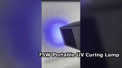 Professional Portable LED UV Curing Flashlight 75W
