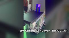 UV Curing Conveyor Dryer for Curing UV Inks