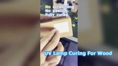 High Efficiency UV LED Curing System for Wood Flooring