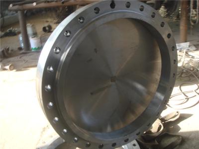 China Durable 304L Duplex Stainless Steel Pipe Flange Smooth Surface 2500# 1/2