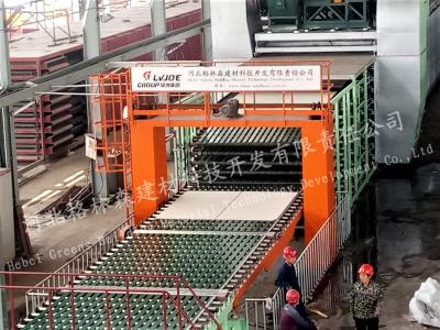 Cina Linea di produzione minerale automatica completa delle mattonelle della fibra con 2 - 12 milione capacità di Sqm in vendita