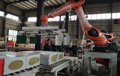 Cina Linea di produzione automatica di lana di roccia per materiali da costruzione in vendita