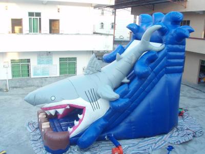 China Inflatable Slides Inflatable Shark Slide For Kids for sale