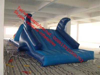 China slide for Home Use  Commercial Grade Adult And Kids Inflatable Water Slide for sale
