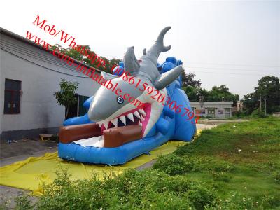 China inflatable shark water slide inflatable shark slide for sale
