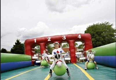 China CE certified Inflatable Derby Race , Inflatable Pony Hop for sale