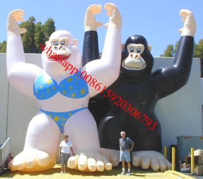 China 25ft inflatable male and female gorilla for advertising for sale
