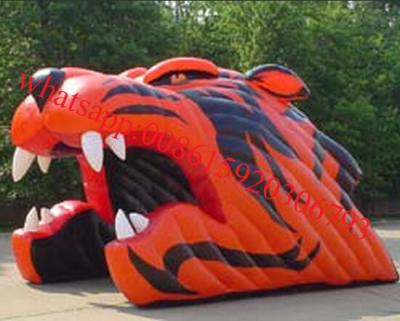 China Bearcat Head inflatable Tunnel， Inflatable Sports Tunnal for sale