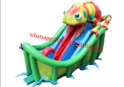 China Chameleon Giant Inflatable Slide for sale