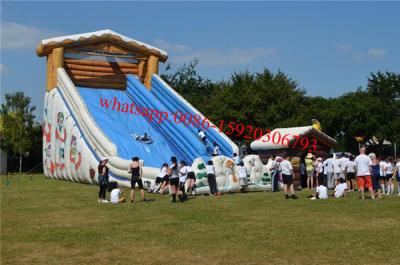 China Giant inflatable toboggan slide hire for sale