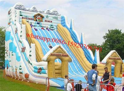 China giant snow slide inflatable for sale