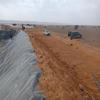 Cina Geomembrana di design industriale per geomembrana in HDPE da 1,5 mm inferiore in vendita