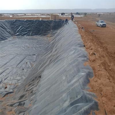 Cina Geomembrana di design industriale per geomembrana in HDPE da 1,5 mm inferiore in vendita