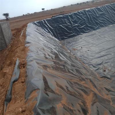 Cina Geomembrana di design industriale per geomembrana in HDPE da 1,5 mm inferiore in vendita