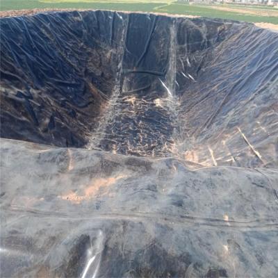 Cina Geomembrana di design industriale per geomembrana in HDPE da 1,5 mm inferiore in vendita