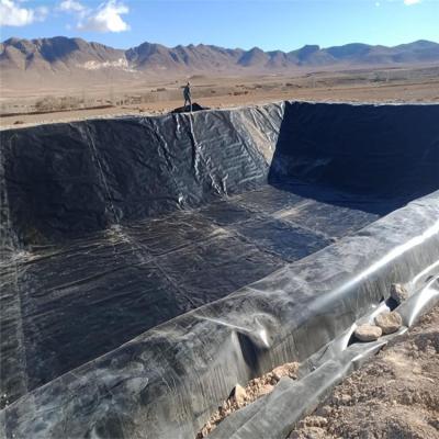 Cina Geomembrana di design industriale per geomembrana in HDPE da 1,5 mm inferiore in vendita