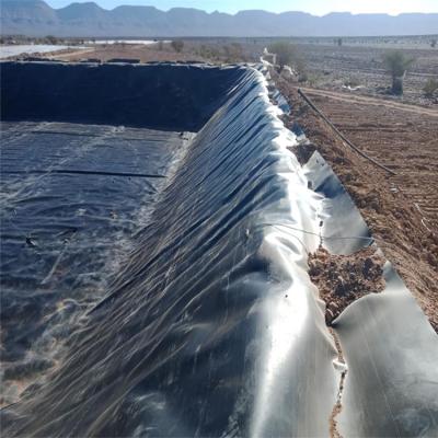 中国 魚飼育池のリナー HDPE 地膜ロールサイズ 効率的な漏れ防止 販売のため