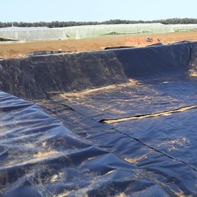 Cina Geomembrana HDPE di lunga durata per rivestimenti di stagni in stile asiatico in altre regioni in vendita