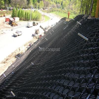 Cina Distanza di saldatura 330mm-1000mm Geocell Paver per l'erba per la vendita stile di design contemporaneo in vendita