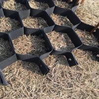 China Textured Smooth Surface 100mm Height HDPE Geocell for Durable Infrastructure Projects for sale
