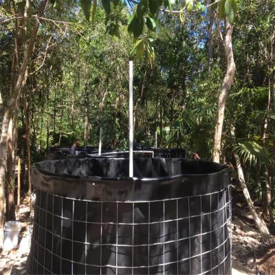 Cina Geomembrana in HDPE di plastica da 1 mm per il design tradizionale nel rivestimento circolare degli stagni per pesci in vendita