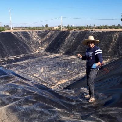 Cina Geomembrana in HDPE di plastica da 1 mm per il design tradizionale nel rivestimento circolare degli stagni per pesci in vendita
