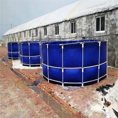 Cina Durata di vita 3-15 anni BLACK Steel Frame PVC HDPE Tank for Indoor Fish Farm Forma quadrata in vendita