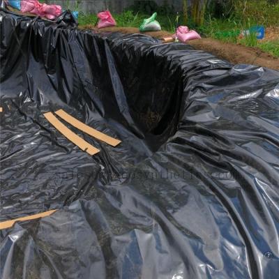 Cina Superficie liscia con texture 1,5 mm Geomembrana HDPE per diga in plastica impermeabile 1,0 mm in vendita