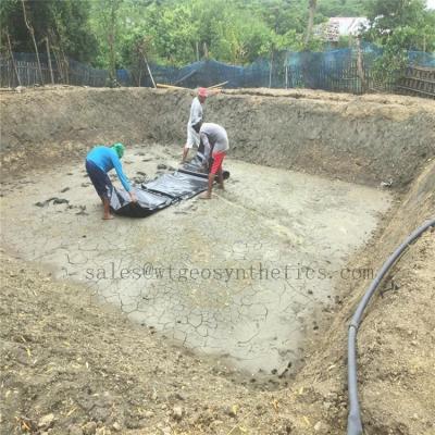 Cina Superficie liscia con texture 1,5 mm Geomembrana HDPE per diga in plastica impermeabile 1,0 mm in vendita