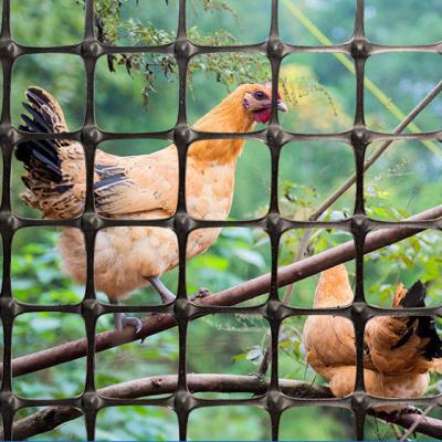 中国 繁殖鶏にとって不可欠な通常の黒色バイアキシアルジオグリッド 道路床のプラスチックフェンス 販売のため