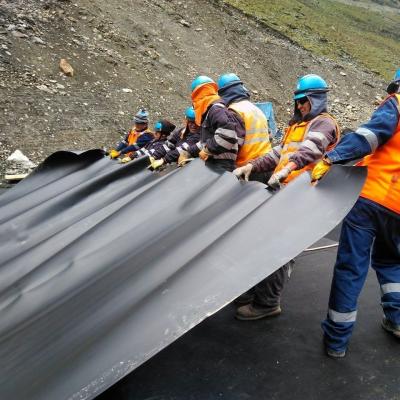 Cina Geomembrana in HDPE da 1 mm ideale per la costruzione di geomembrane e discariche in vendita