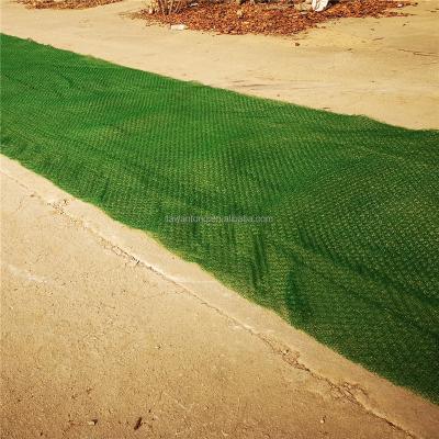 Cina EM2 Plastic HDPE Geomat tridimensionale stile di progettazione contemporaneo per la protezione 3D in vendita