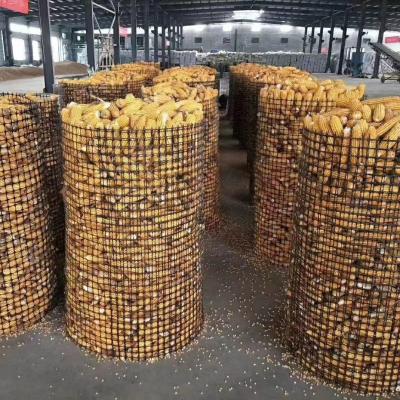 中国 道路床と斜面保護用織物ポリエステルジオグリッド 0.2mm-4mm 厚さ ISO標準 販売のため
