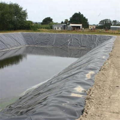 Cina 0.2 mm Geomembrana di HDPE Rivestimenti di telone impermeabili per stagni di allevamento di pesci Biofloc in vendita