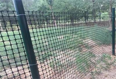 Cina Rafforzamento stradale Griglia biassiale con e resistenza alla trazione in stile di design cinese in vendita