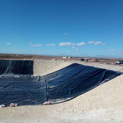 Cina Geomembrana liscia HDPE recinto peschereccio acquario agricolo stagno Liner Geomembrane 1mm 2mm in vendita