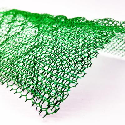 中国 景観 プラスチック 鉄網 草の強化 3D マット 侵食制御用ジオマット 販売のため