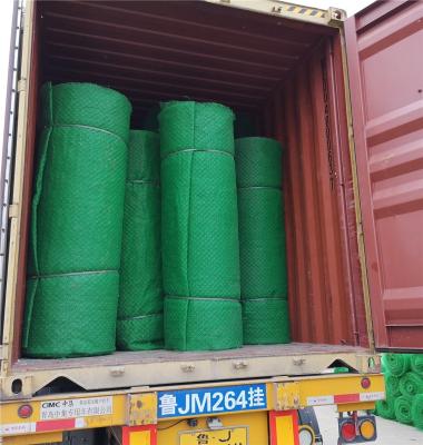 China 7.6-10.2 mm espessura Geonet composto 3 camadas HDPE Geomat para reforço do solo à venda