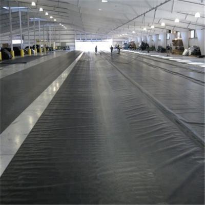Cina Geomembrana vergine/d'HDPE riciclato per rivestimento di una diga di un serbatoio di stagni in vendita