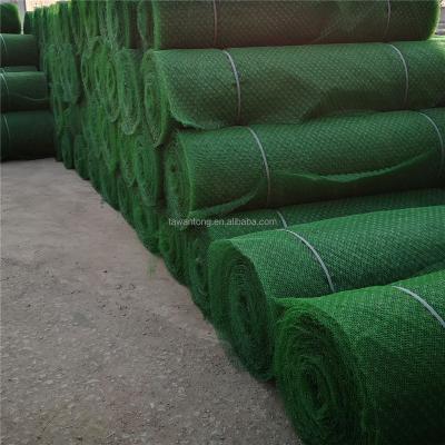 Cina Geomat in HDPE PP in stile cinese per strutture di supporto personalizzate per la prevenzione delle frane in vendita