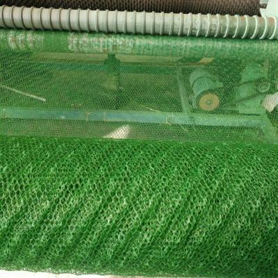 Cina Concorrenziale Geomat 3D HDPE/Matto di controllo dell'erosione Em2 Em3 Em4 Em5 per il mercato cinese in vendita