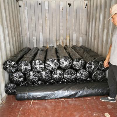 Cina 50-50kn Geogrid in poliestere/PET Geogrid per il rinforzo delle rive dei fiumi in vendita