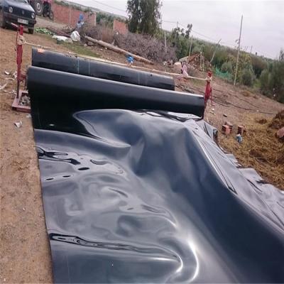 Cina Prodotti agricoli impermeabilizzanti Geomembrane in HDPE con norma GB/ASTM GRI-GM13 in vendita