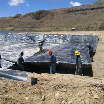 Cina 0Geomembrana in HDPE da 0,5 mm a 1,0 mm a 1,5 mm per l'allevamento di pesci in vendita