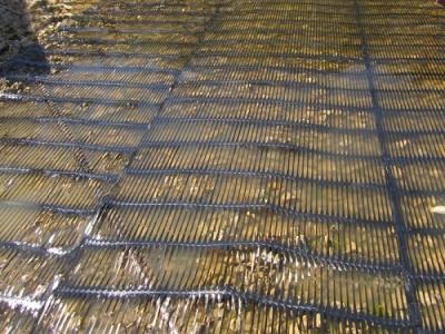 Cina 1m Larghezza di rotolamento Design asiatico PE Uniaxial Fence Mesh Geogrid per rinforzo stradale in vendita