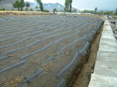 Cina 1m Larghezza di rotolamento Design asiatico PE Uniaxial Fence Mesh Geogrid per rinforzo stradale in vendita